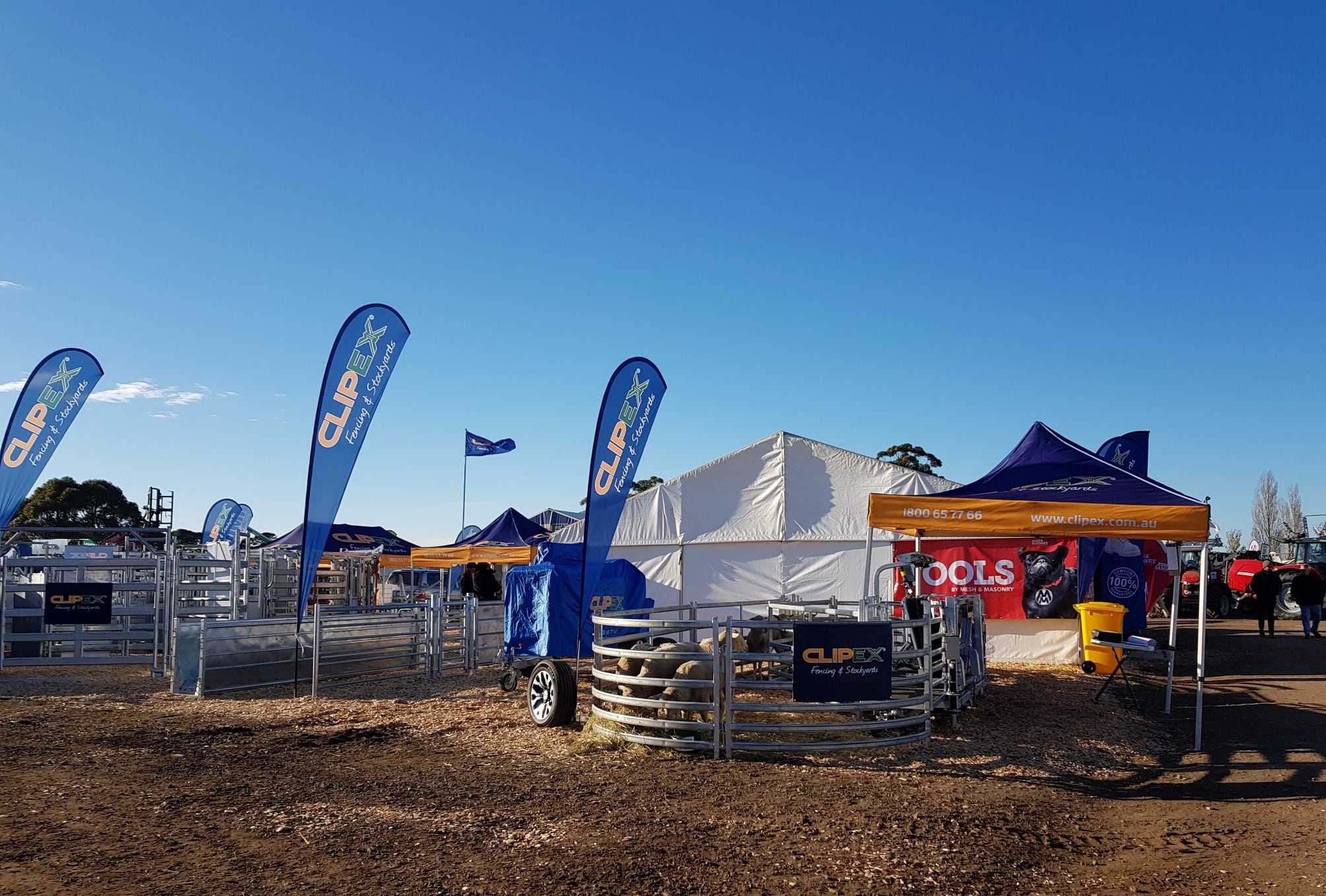 Numnuts at Sheepvention 2019