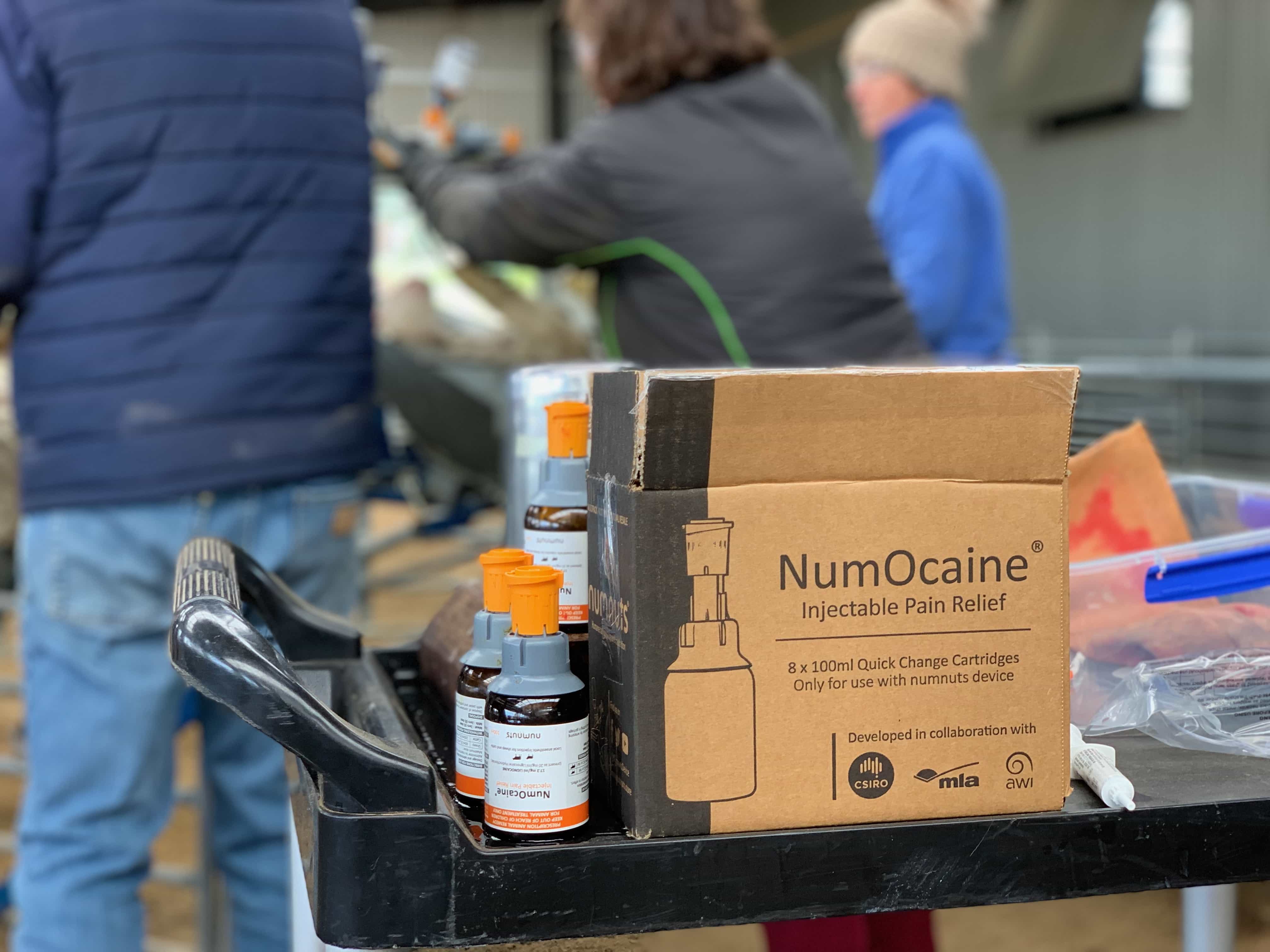 NumOcaine® change over on Numnuts® - Fast & No Fuss