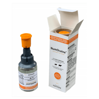 Numnuts | How to buy NumOcaine® in NZ